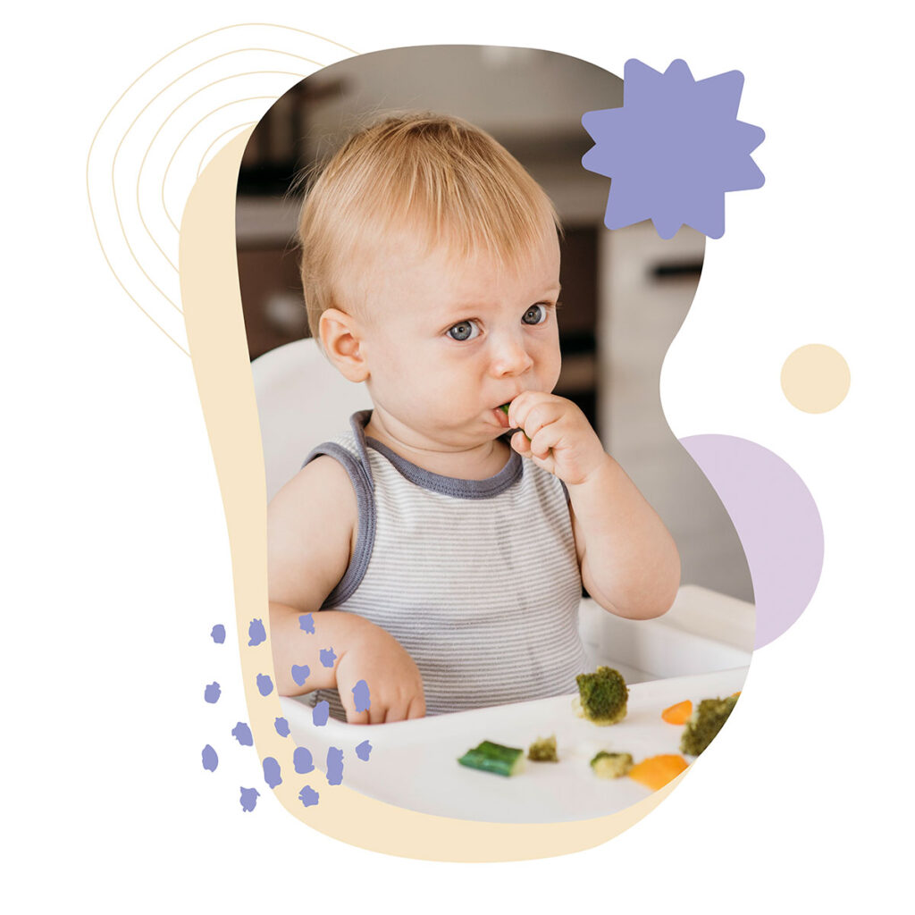 Transitioning from Formula: "When to start solid foods?