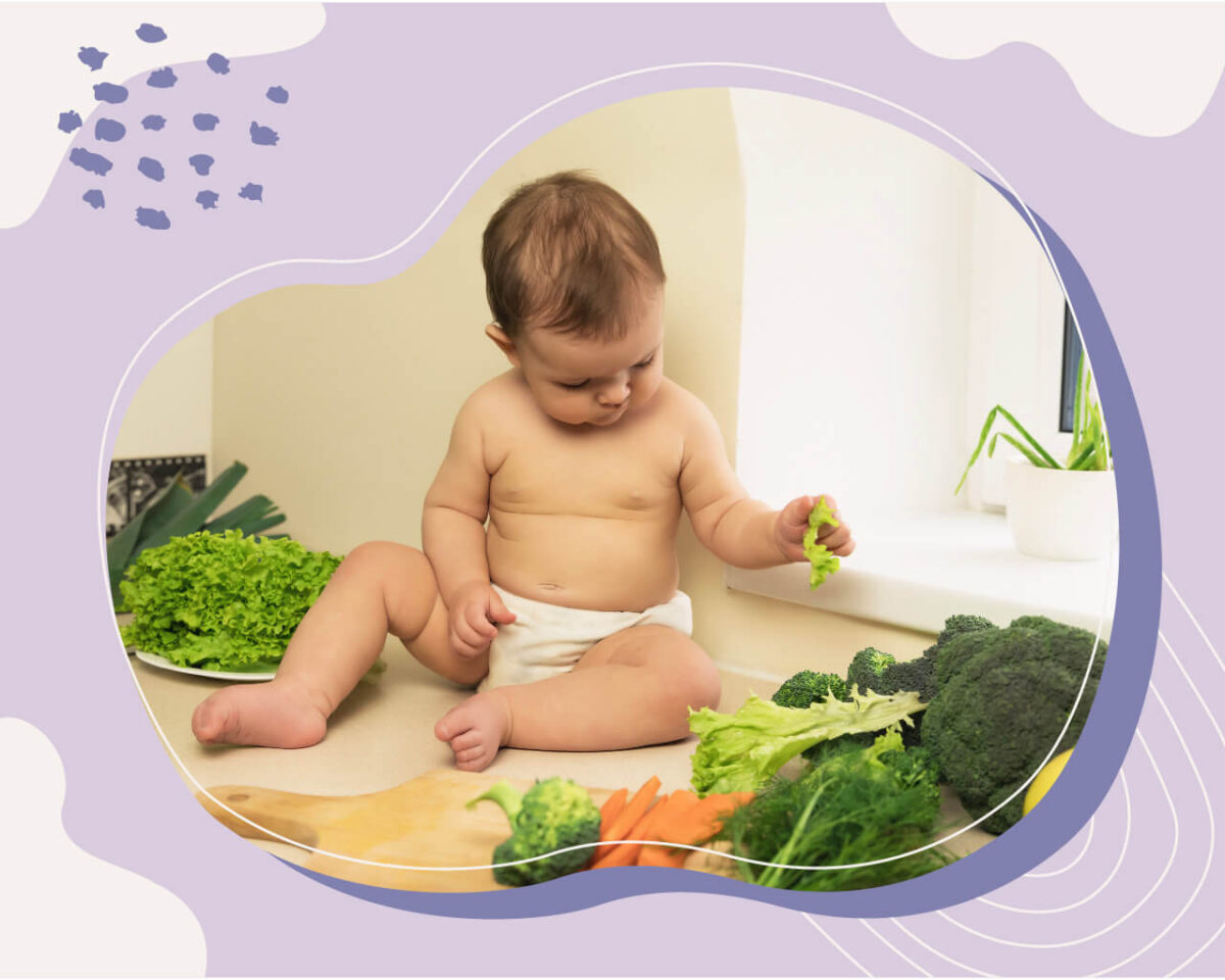 The Rise of Plant - Based Baby Formulas and Their Benefits